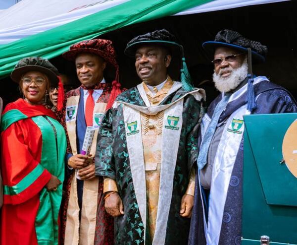 UBA GMD/CEO, Oliver Alawuba, Conferred with Doctorate Degree by Imo ...