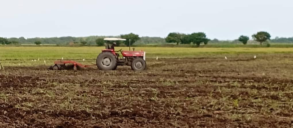 In the Southern Region… SL- RAIC Project Nears Completion of Rice ...